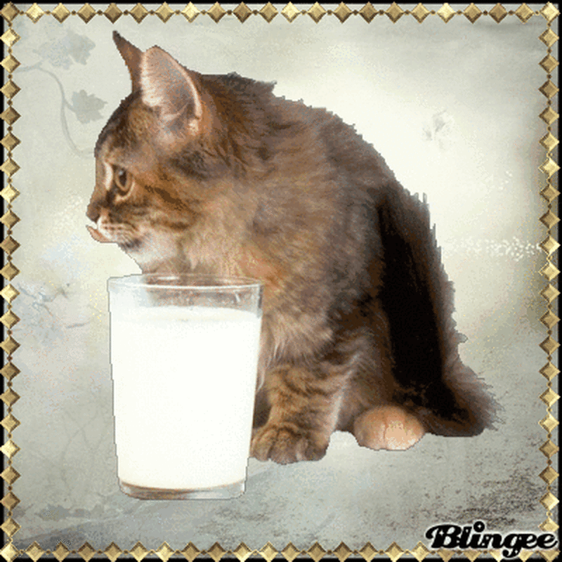 Un Bon Verre De Lait a Fait Du Bien un-bon-verre-de-lait-a-fait-du-bien